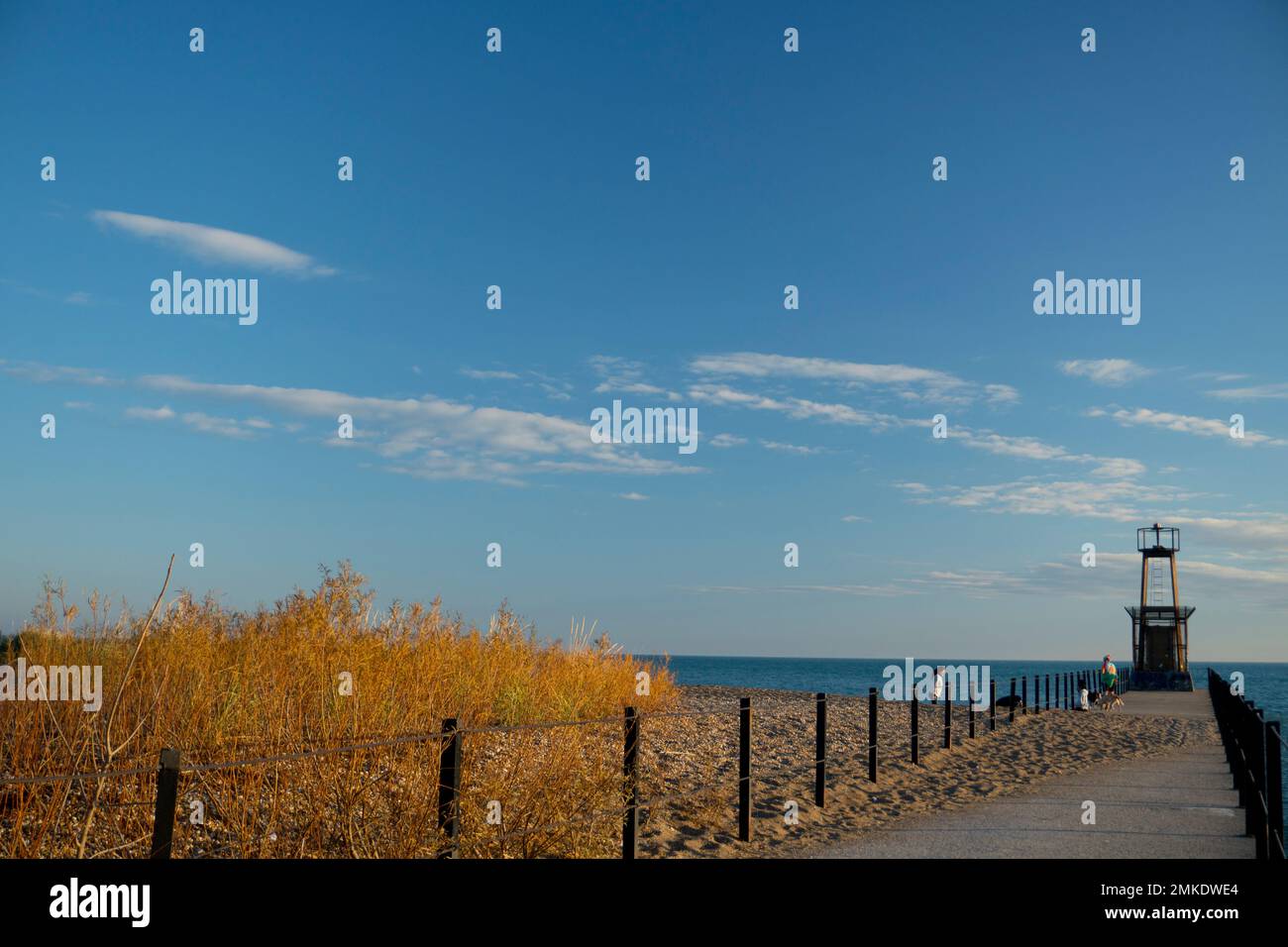 Loyola Park Natural Area, Loyola Beach, Rogers Park neighborhood ...