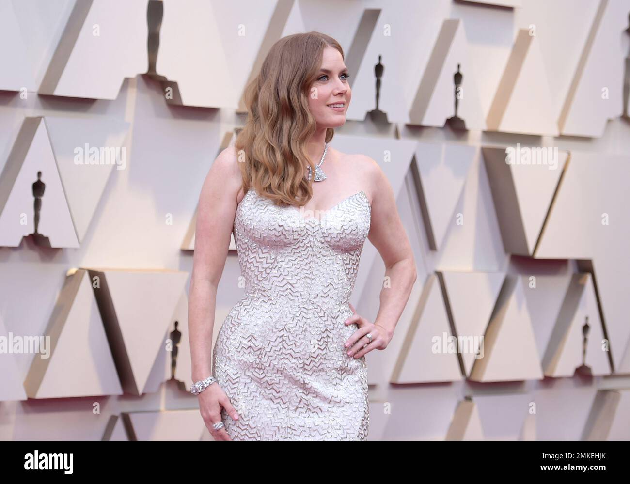 Amy Adams arrives at the Oscars on Sunday, Feb. 24, 2019, at the Dolby ...