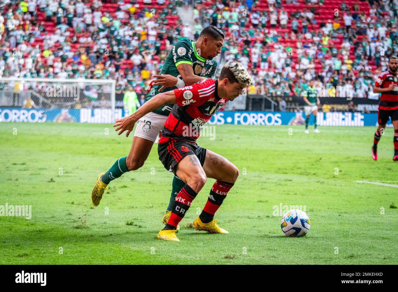 Arena brb mane garrincha hi-res stock photography and images - Alamy