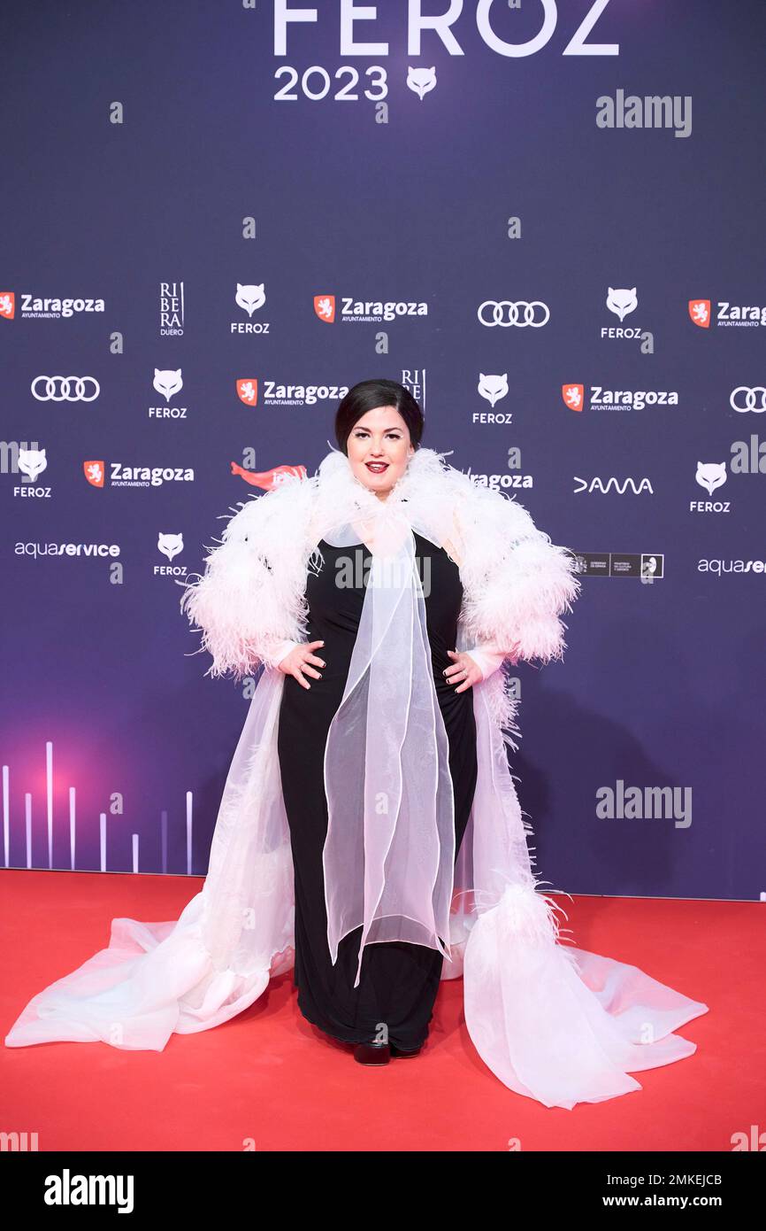 January 28, 2023, Zaragoza, Aragon, Spain: Laura Galan attends Feroz ...