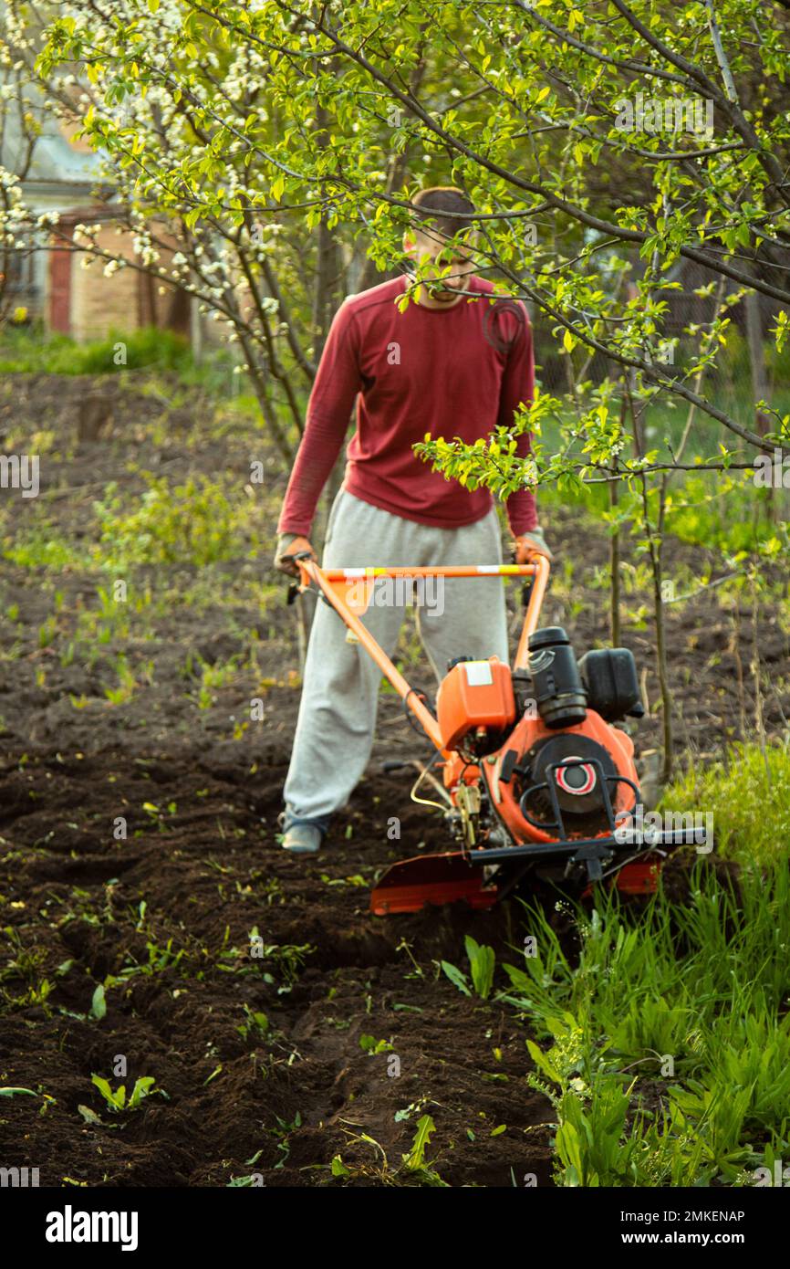 A farmer man works in the field, plowing the land with a plow on the ...