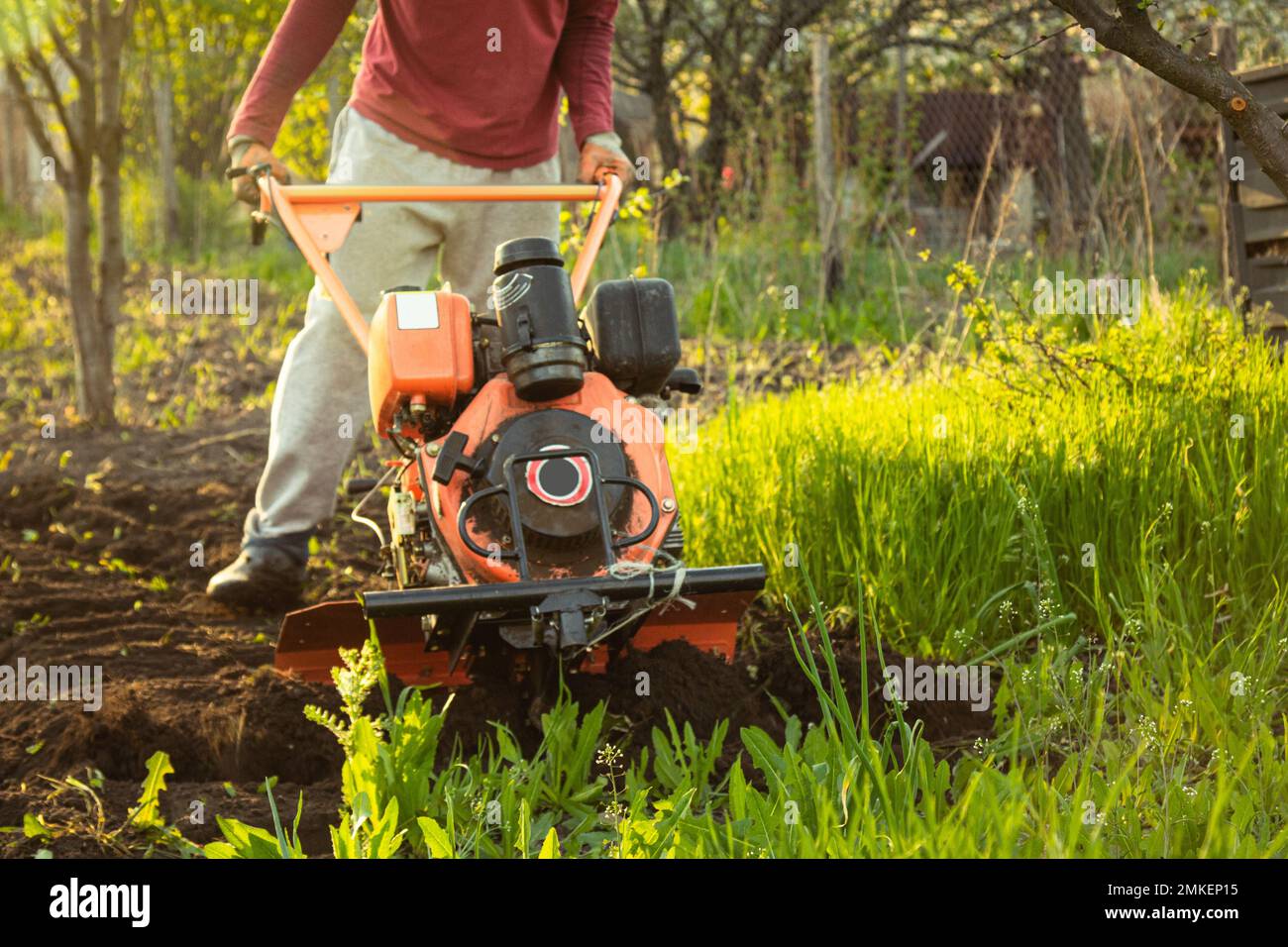 a small agricultural tractor plows the ground, the work of a walk ...