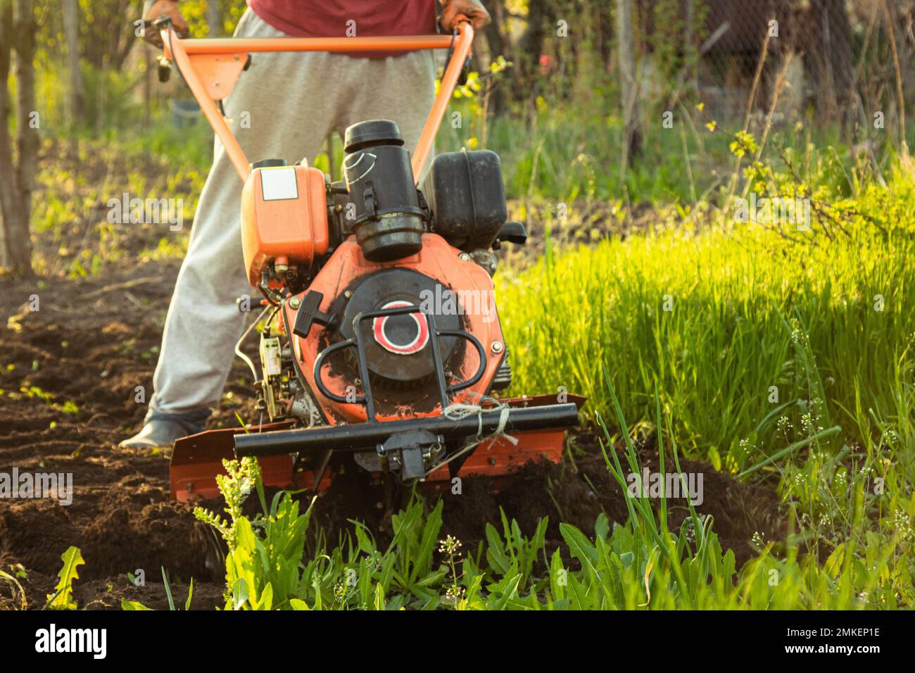 a small agricultural tractor plows the ground, the work of a walk ...