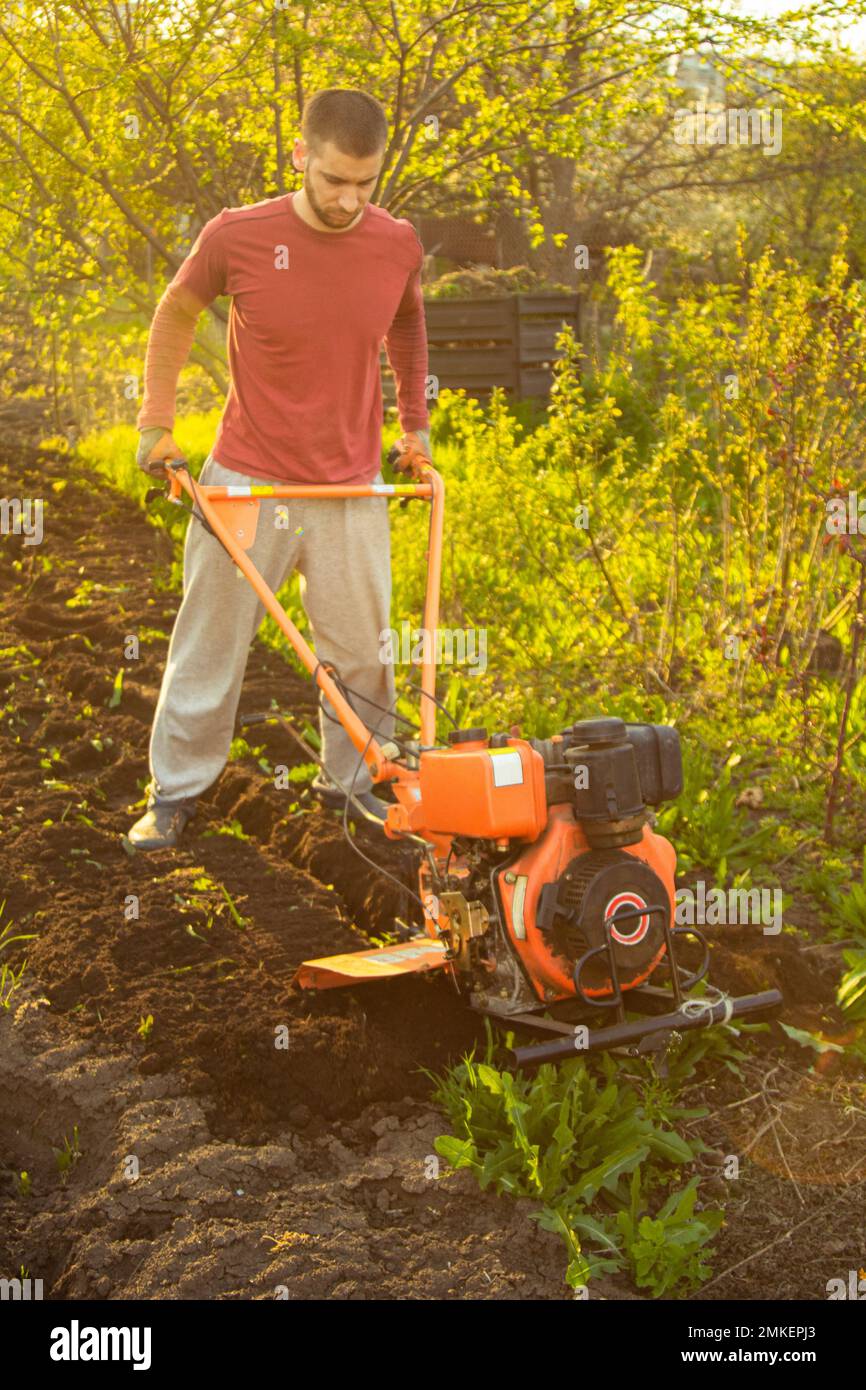 A farmer man works in the field, plowing the land with a plow on the ...