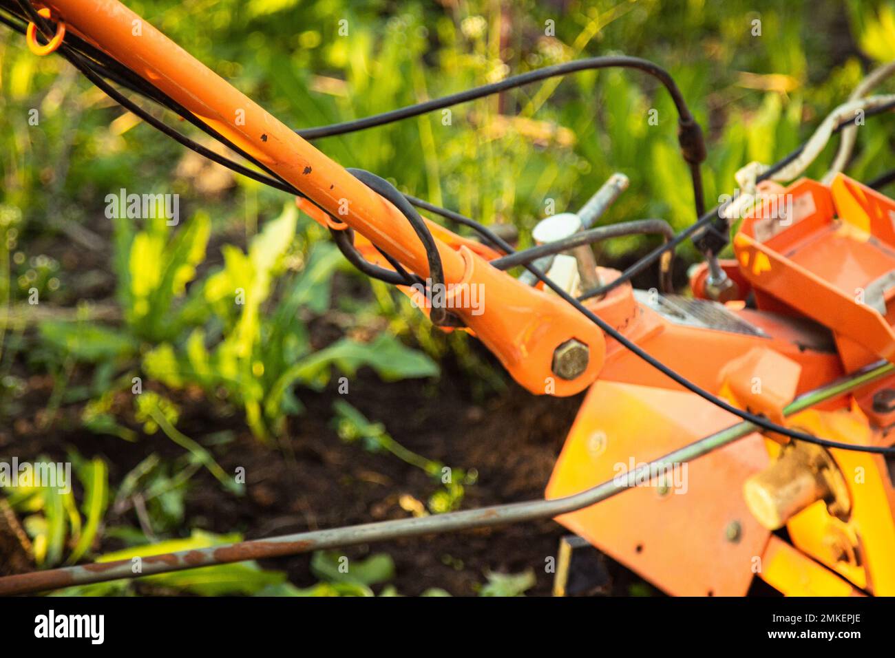a small agricultural tractor plows the ground, the work of a walk ...