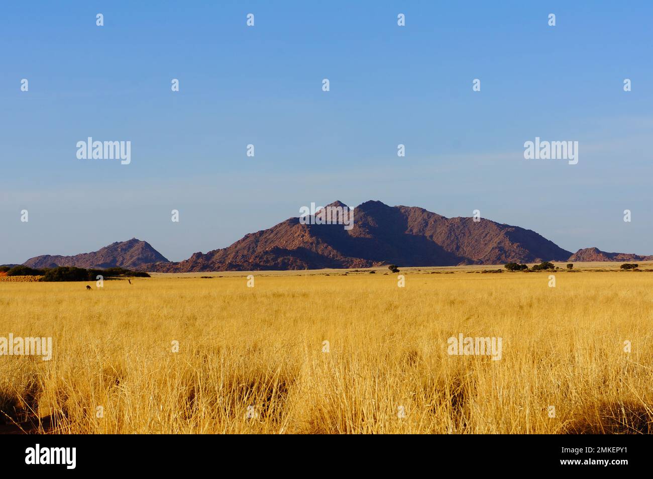 Namibian desert, Africa Stock Photo - Alamy