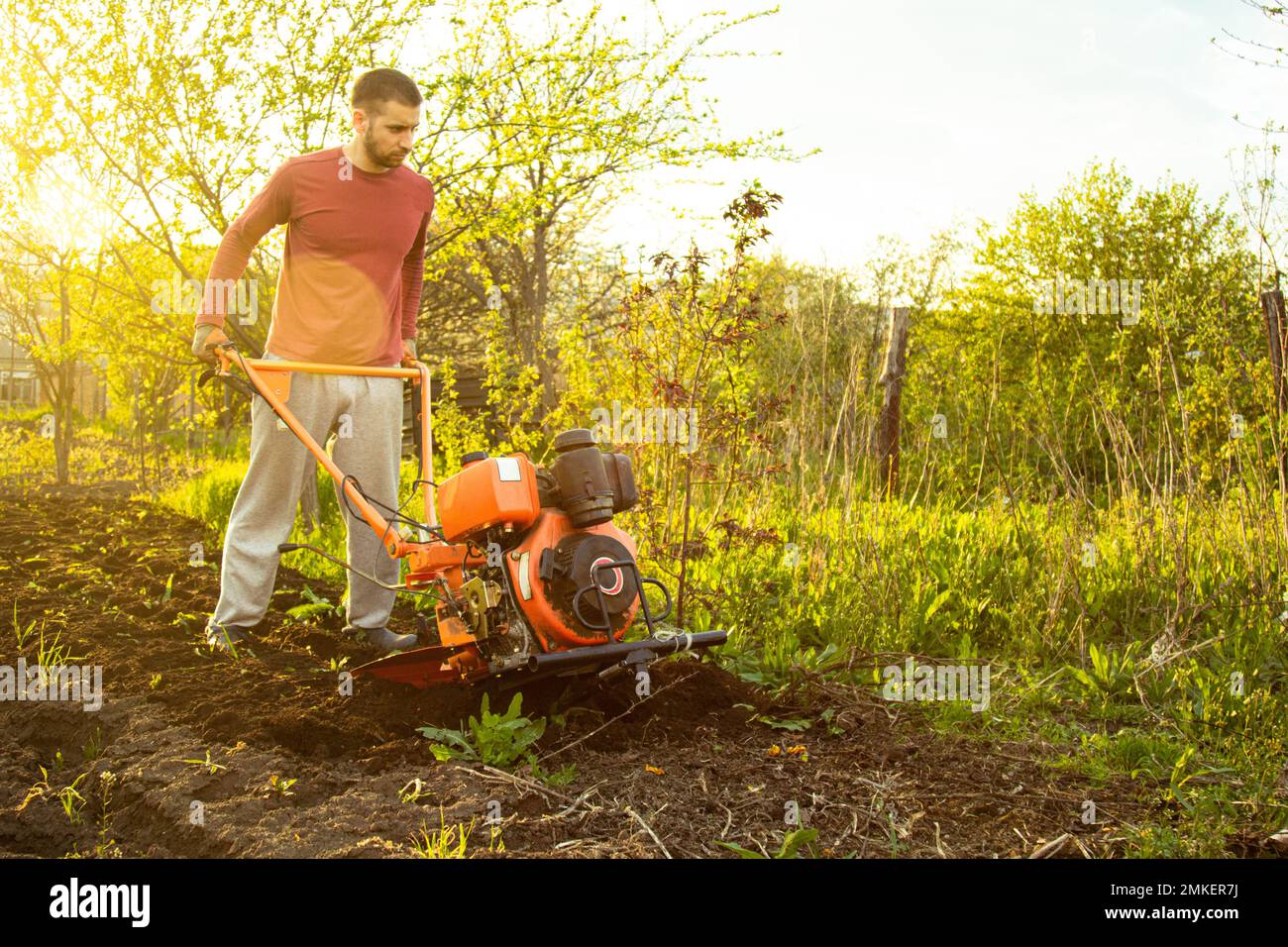 A farmer man works in the field, plowing the land with a plow on the ...