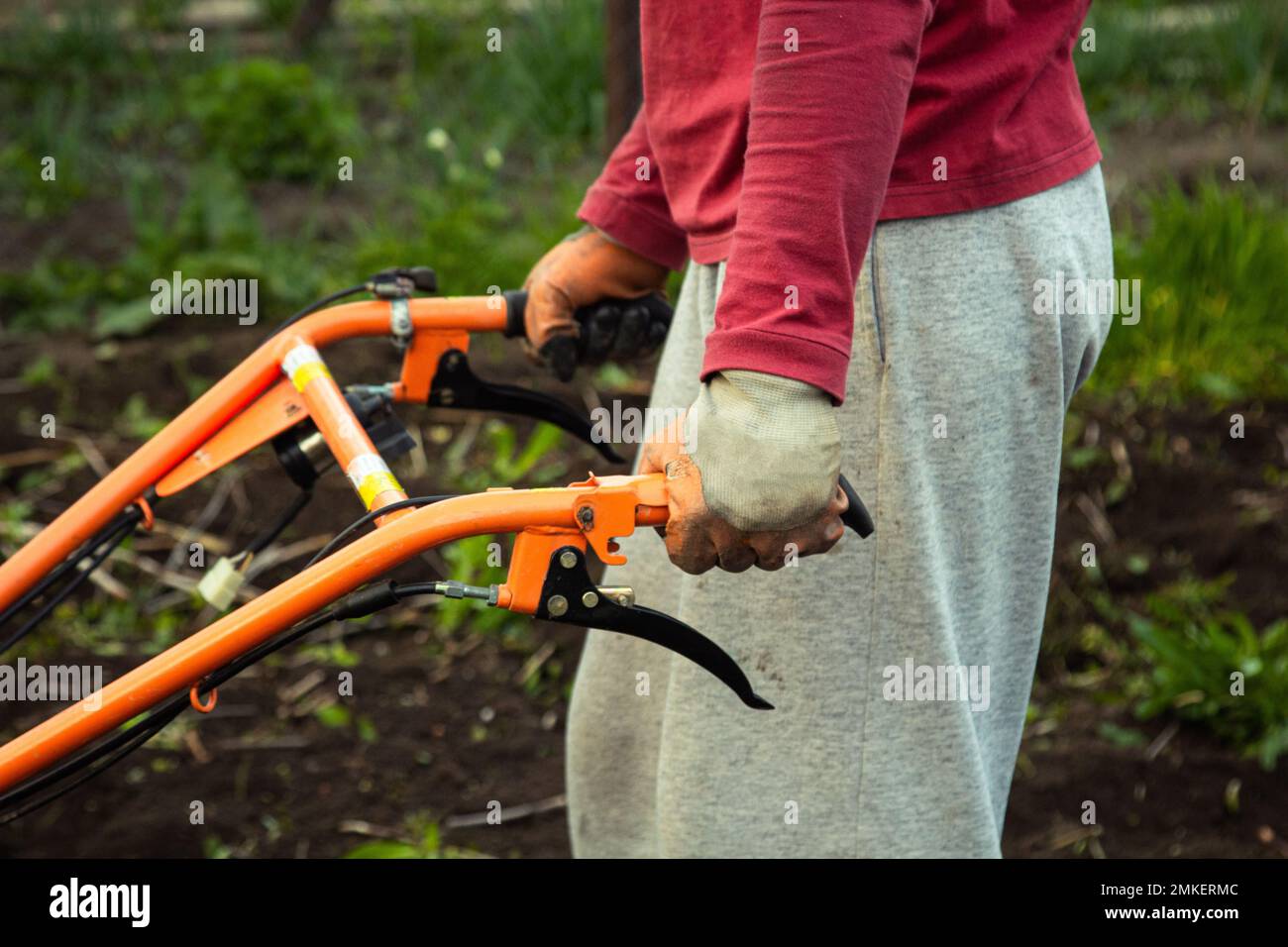 a small agricultural tractor plows the ground, the work of a walk ...