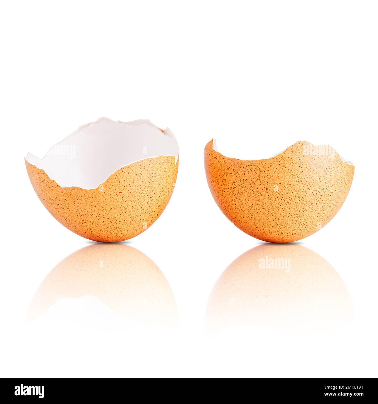 Egg shell isolated on white. Broken egg shell isolated on white Stock ...