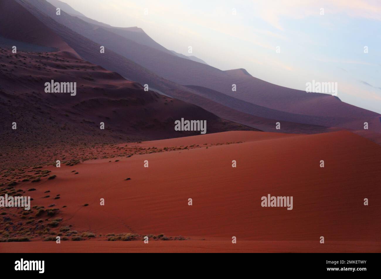 The sand dunes of the Namibian desert, Africa Stock Photo - Alamy