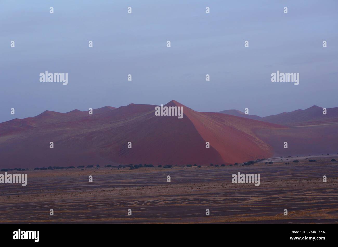 The sand dunes of the Namibian desert, Africa Stock Photo - Alamy