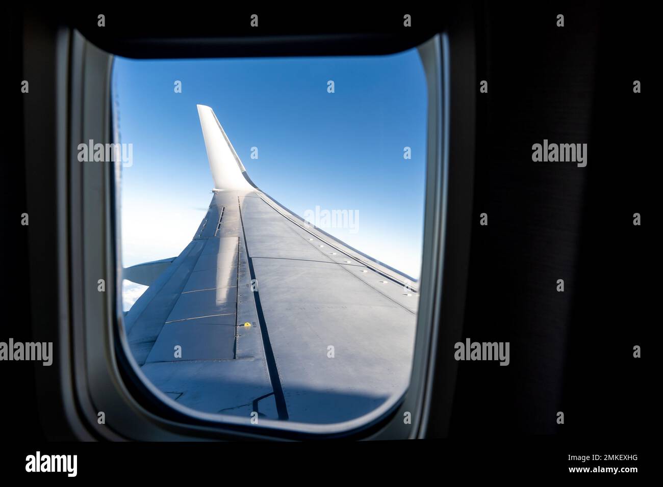 Sydney harbour through window hi-res stock photography and images - Alamy