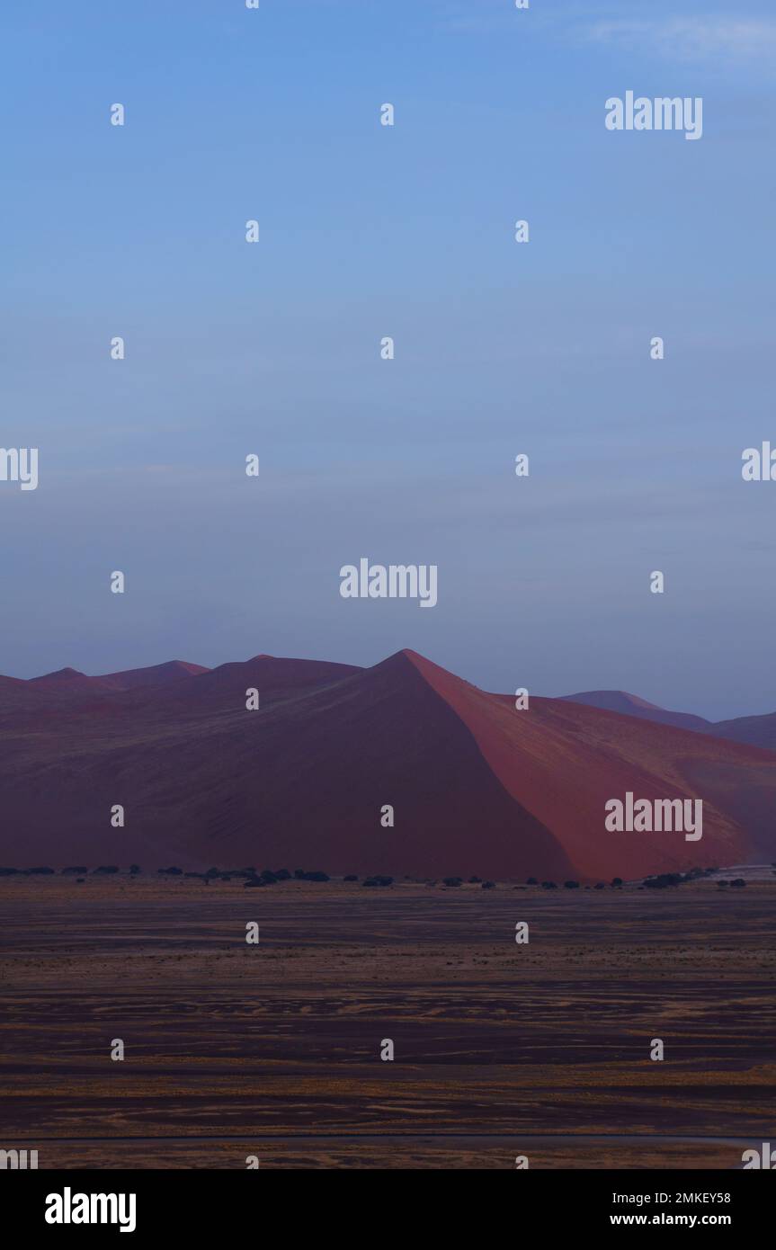 The sand dunes of the Namibian desert, Africa Stock Photo - Alamy