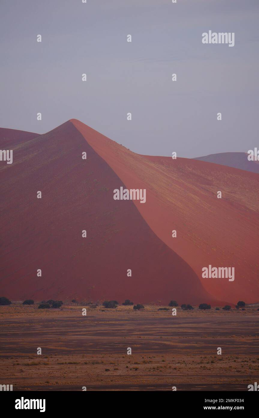 The sand dunes of the Namibian desert, Africa Stock Photo - Alamy