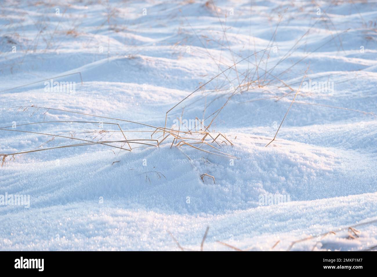 Snow Texture In Cold Temperature at Winter, Top View of the Snow with ...