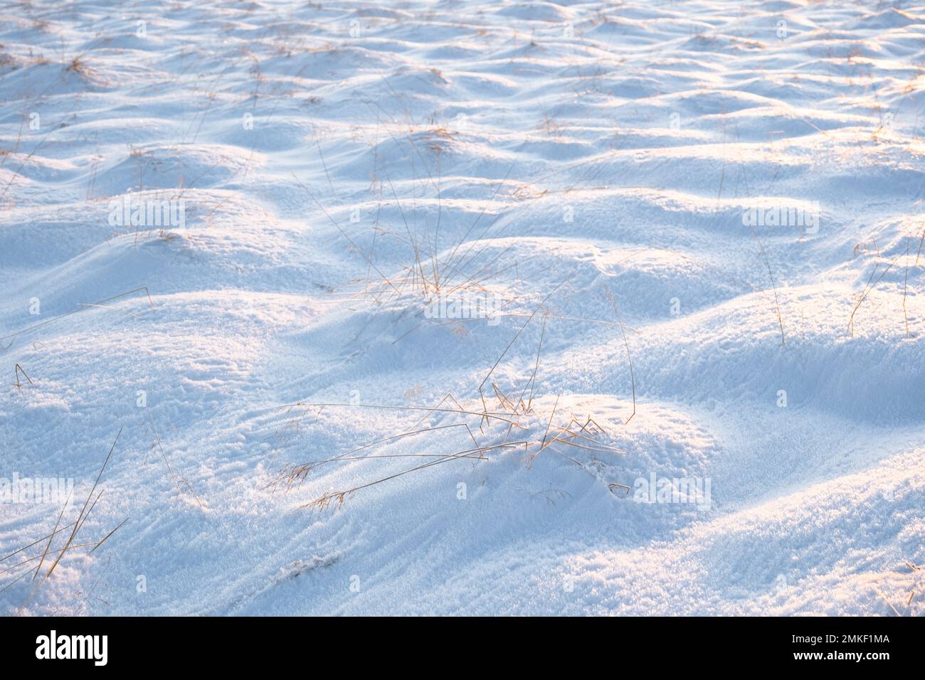 Snow Texture In Cold Temperature at Winter, Top View of the Snow with ...