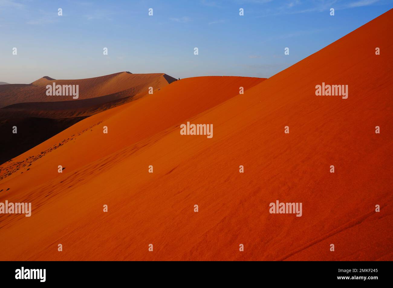 The sand dunes of the Namibian desert, Africa Stock Photo - Alamy