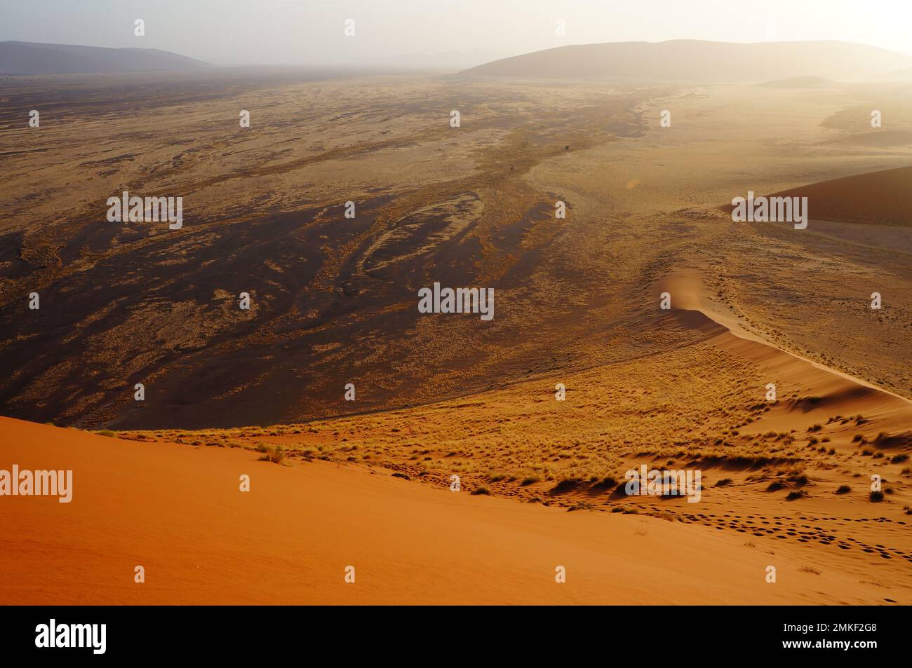 The sand dunes of the Namibian desert, Africa Stock Photo - Alamy