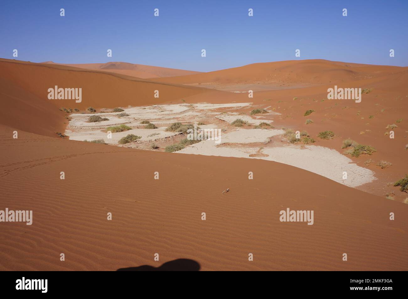 Valley of the dead, Namibia Stock Photo - Alamy