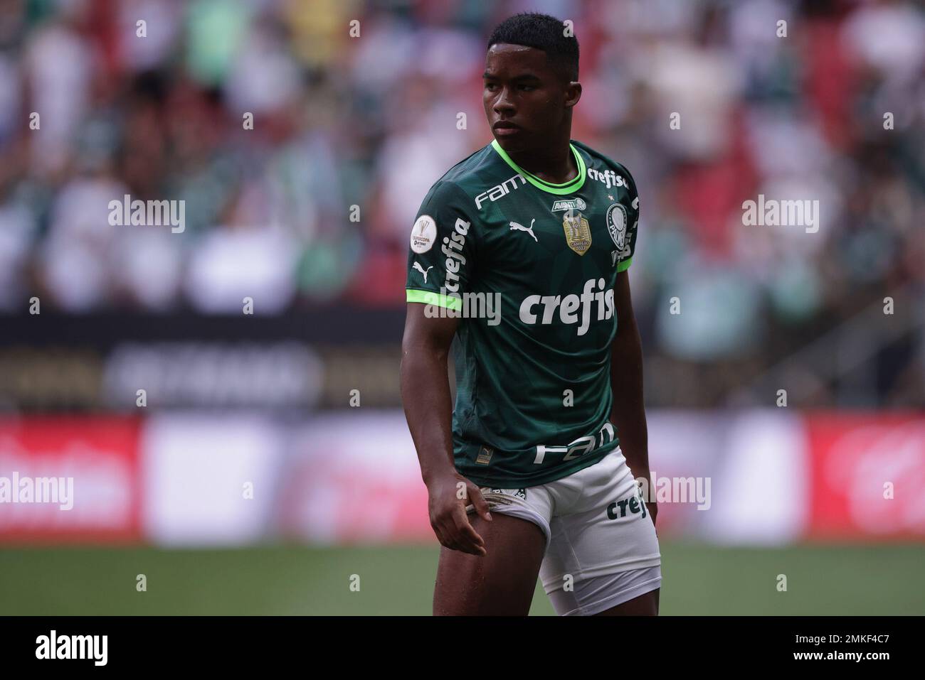 DF - Brasilia - 01/28/2023 - SUPERCOPA 2023 FINAL, PALMEIRAS X FLAMENGO ...