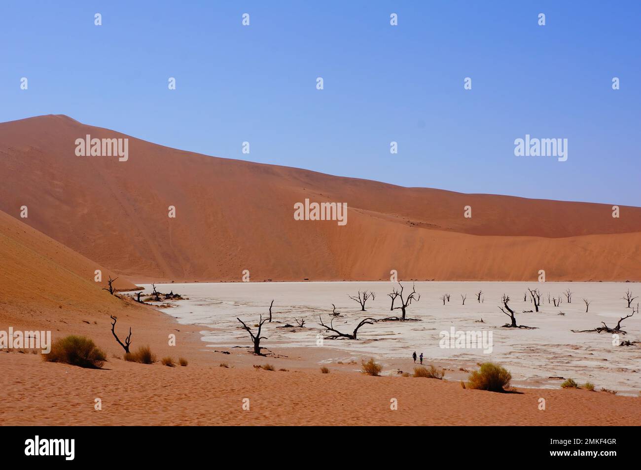 Arabian valley hi-res stock photography and images - Alamy