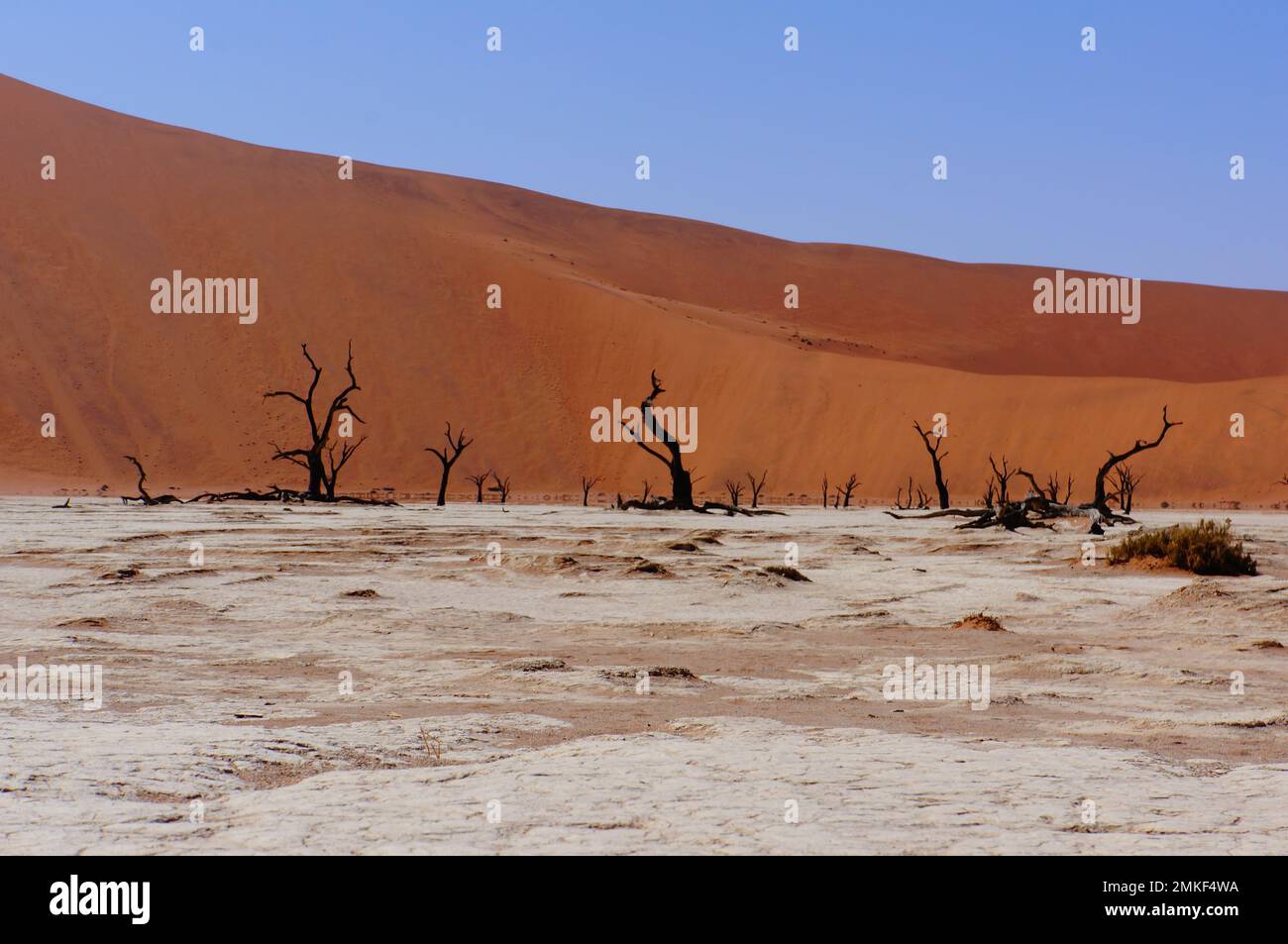 Valley of the dead, Namibia Stock Photo - Alamy