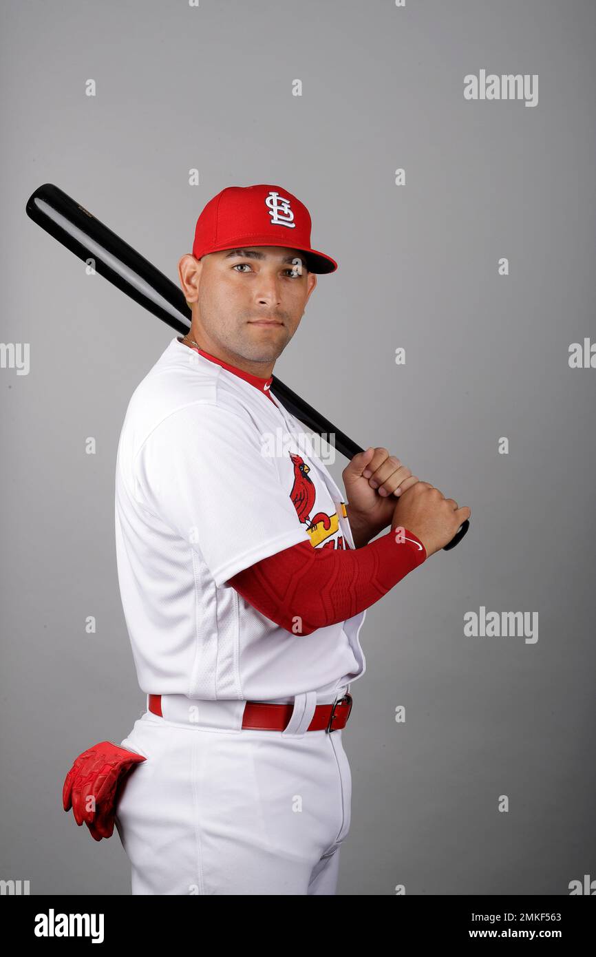 This is a 2019 photo of Jose Godoy of the St. Louis Cardinals baseball ...