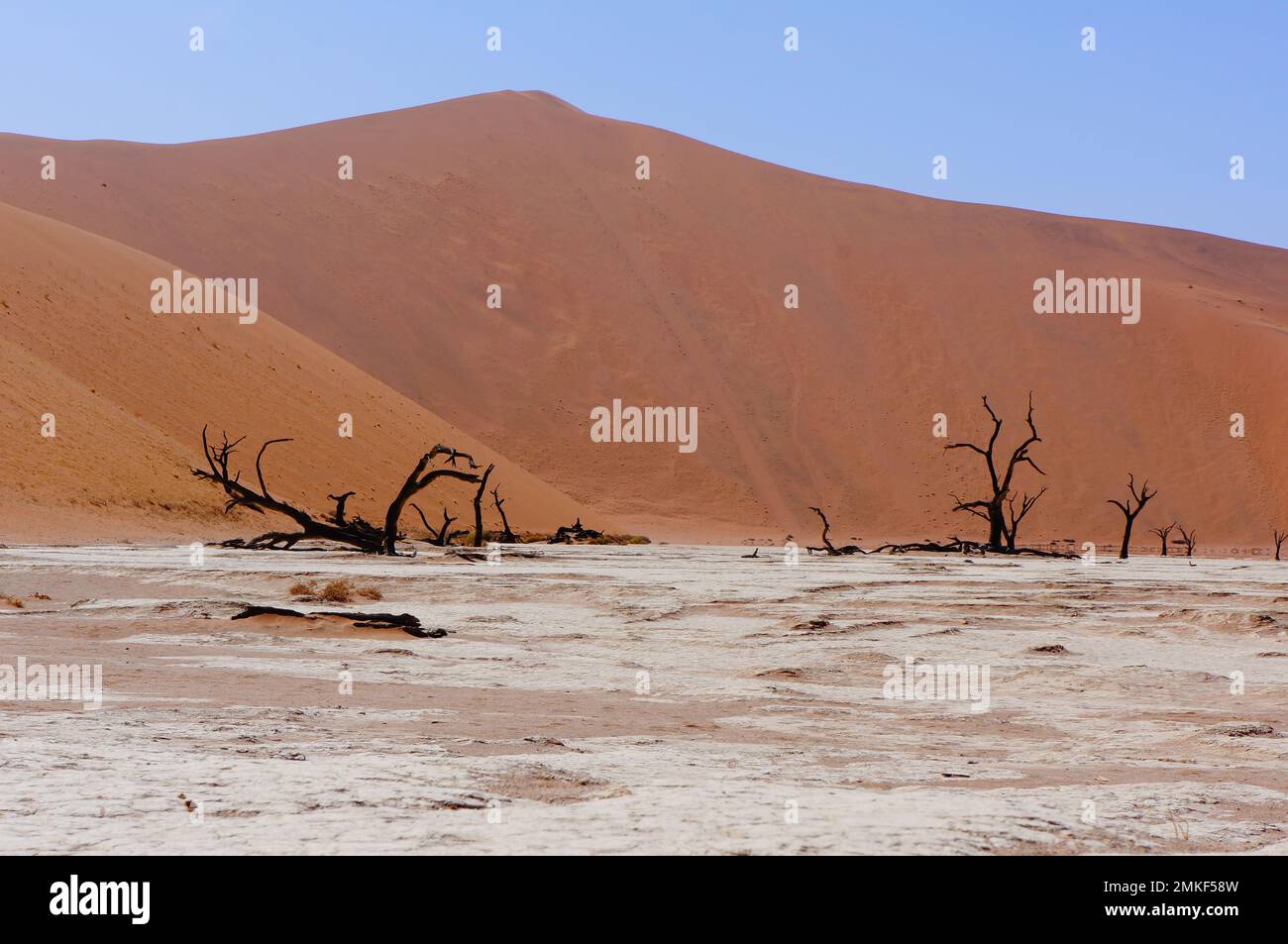 Valley of the dead, Namibia Stock Photo - Alamy