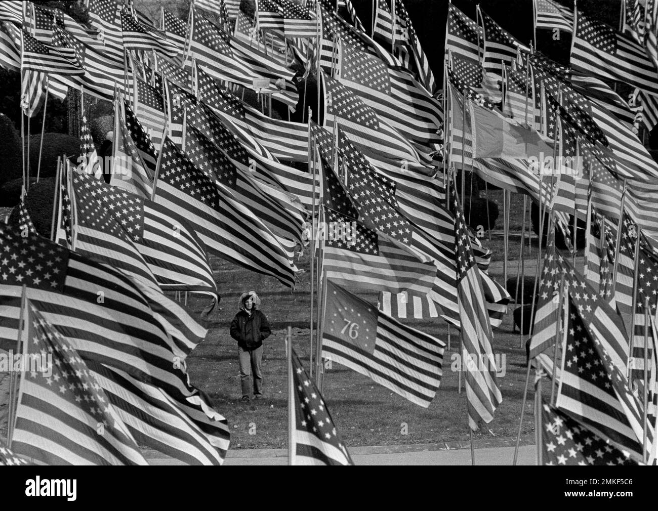 A portion of the 356 flags raised in honor of each day the U.S ...