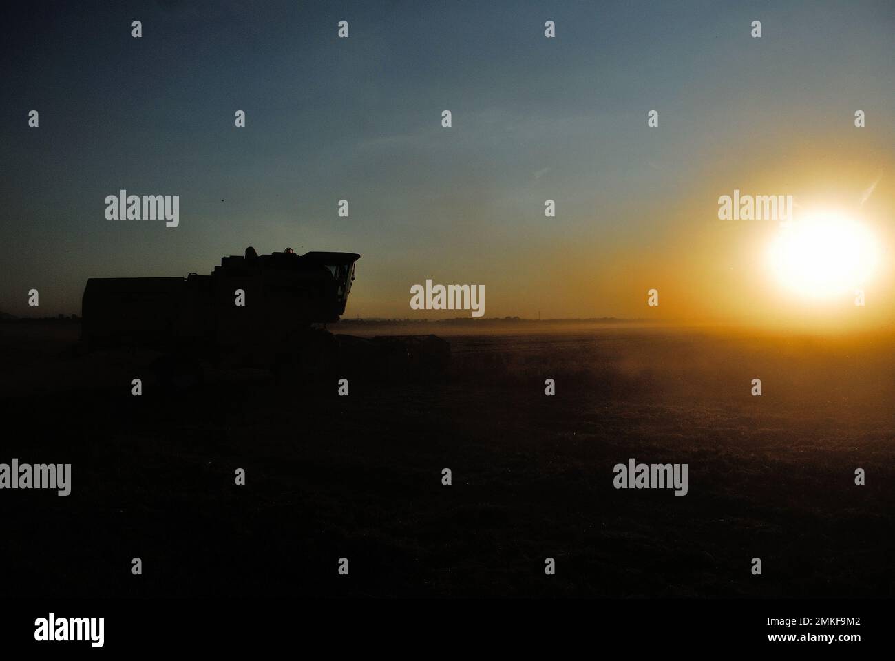 agriculture, barley, cereal, combine, crop, cut, dust, ear, farming ...