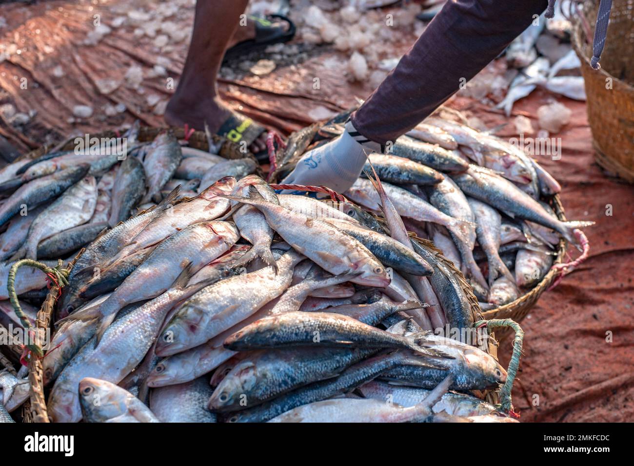 Chittagong, Chattogram, Bangladesh. 20th Jan, 2023. The second-largest ...