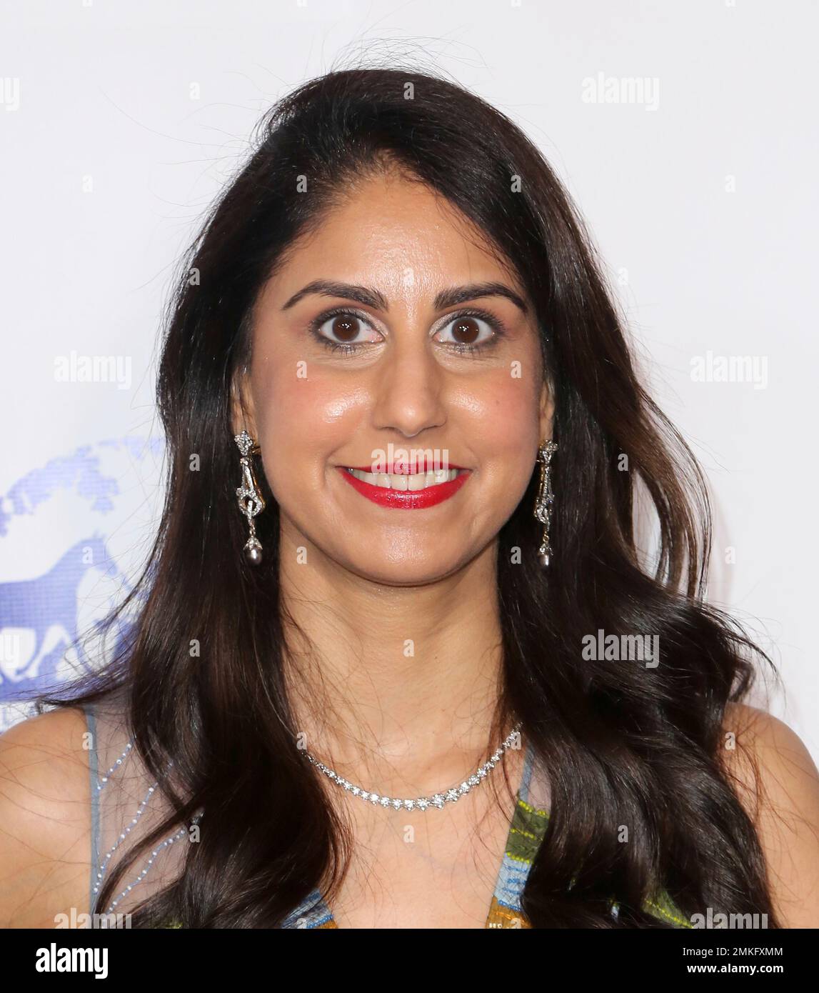 Erum Chaudhry arrives at the 5th Annual Hollywood Beauty Awards at the ...