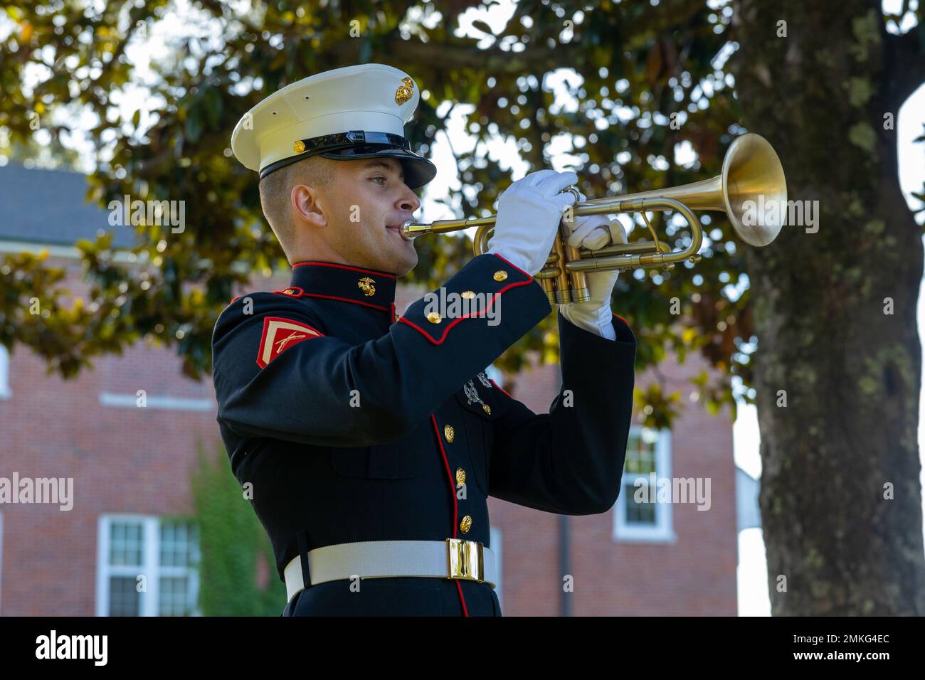 U.S. Marine Corps Lance Cpl. Jacob Stein, a San Jose, California ...