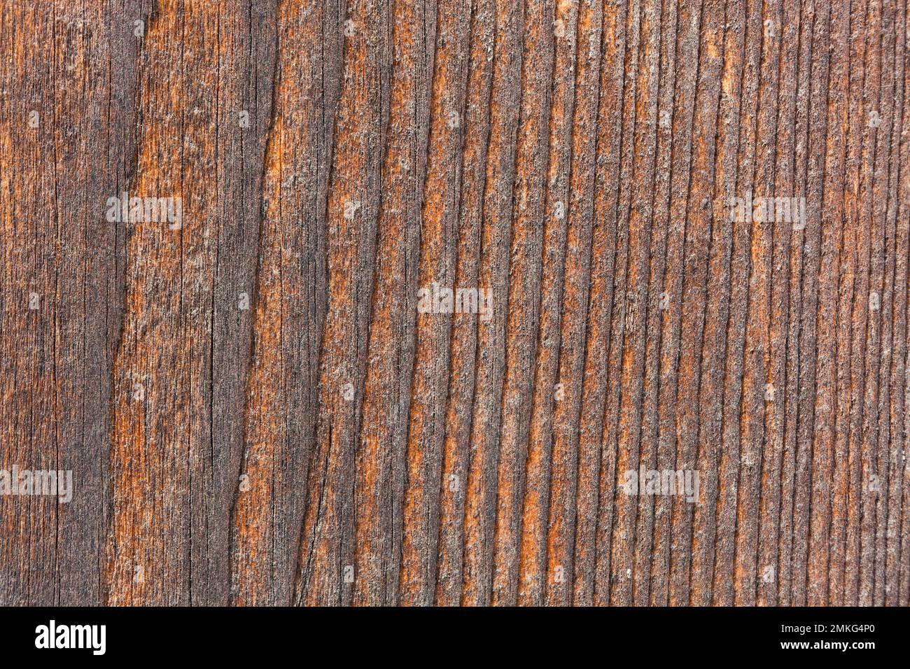 close up of wood texture with natural fibers, board material for ...