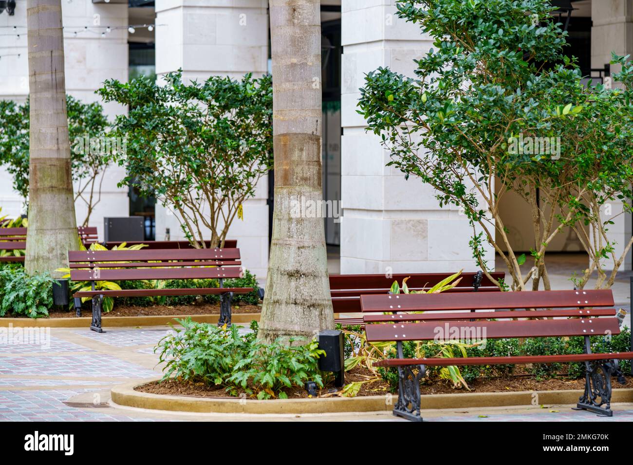 Wooden park benches hi-res stock photography and images - Alamy