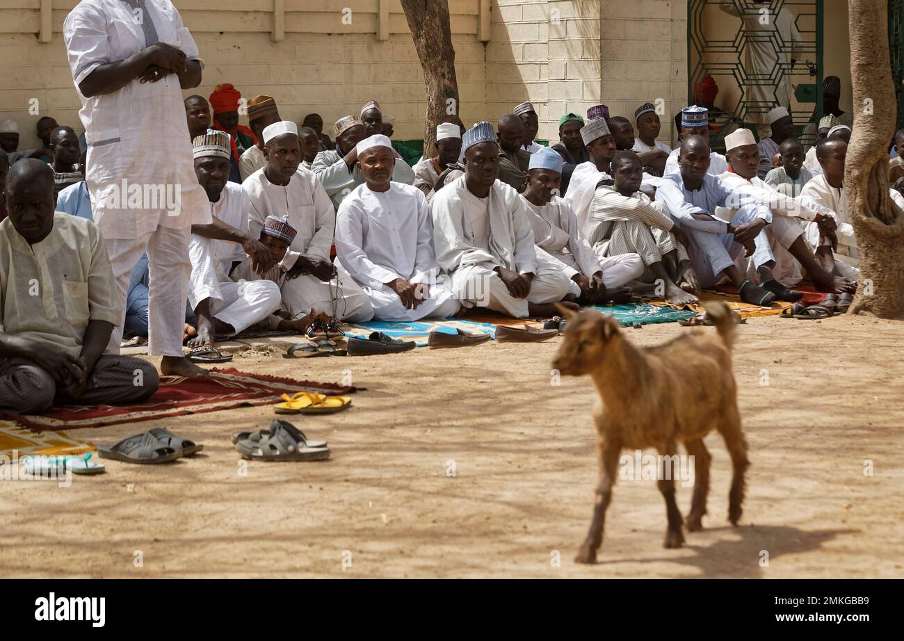 A kid goat walks past Muslims as they make traditional Friday prayers ...