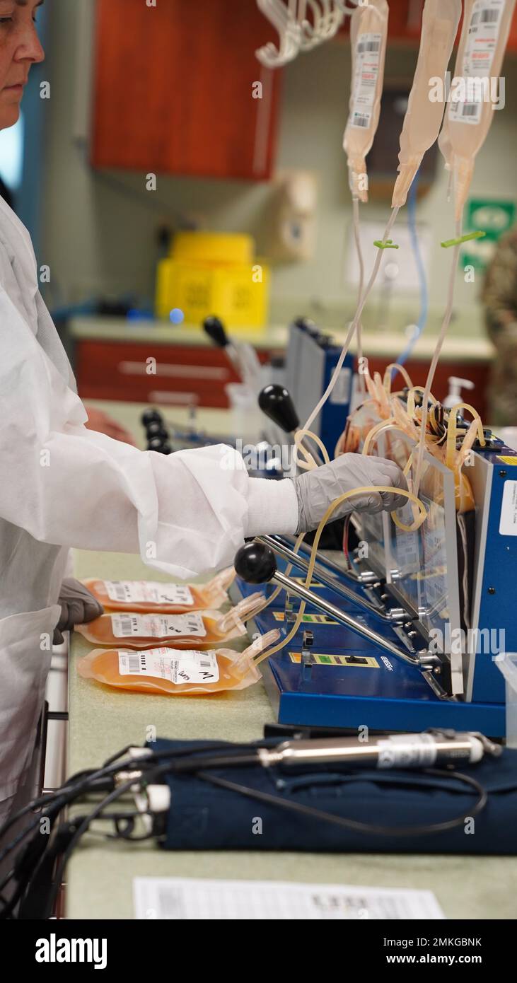 Blood Donation Center staff process donated blood bags during their ...