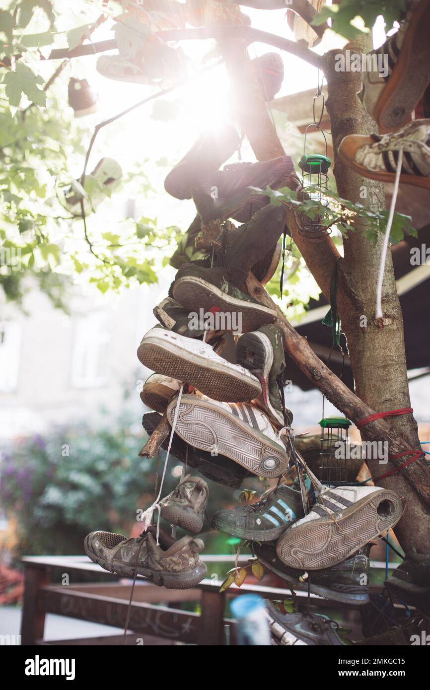 many different old shoes are hung on a tree Stock Photo - Alamy