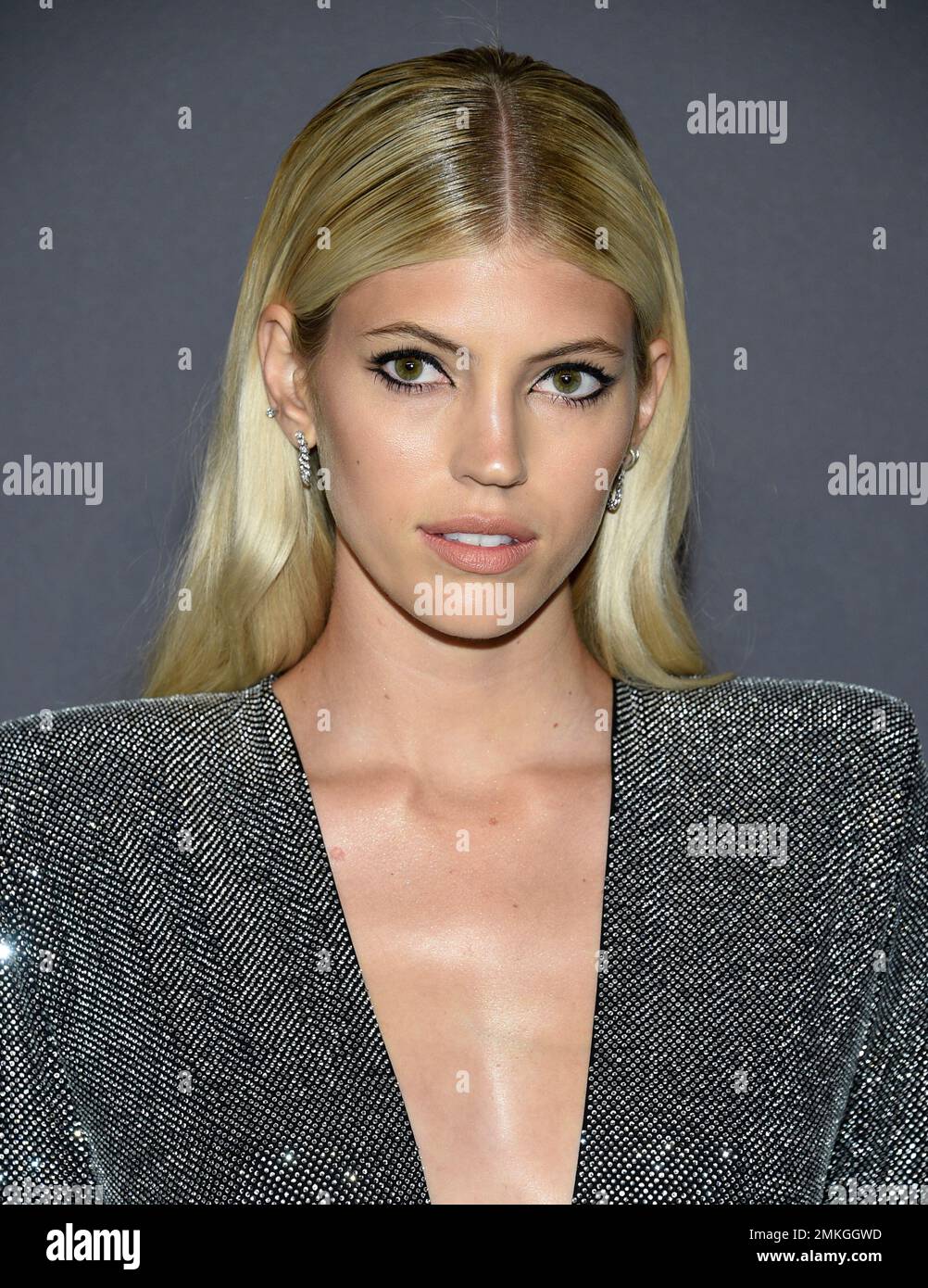 Model Devon Windsor attends the amfAR Gala New York AIDS research ...