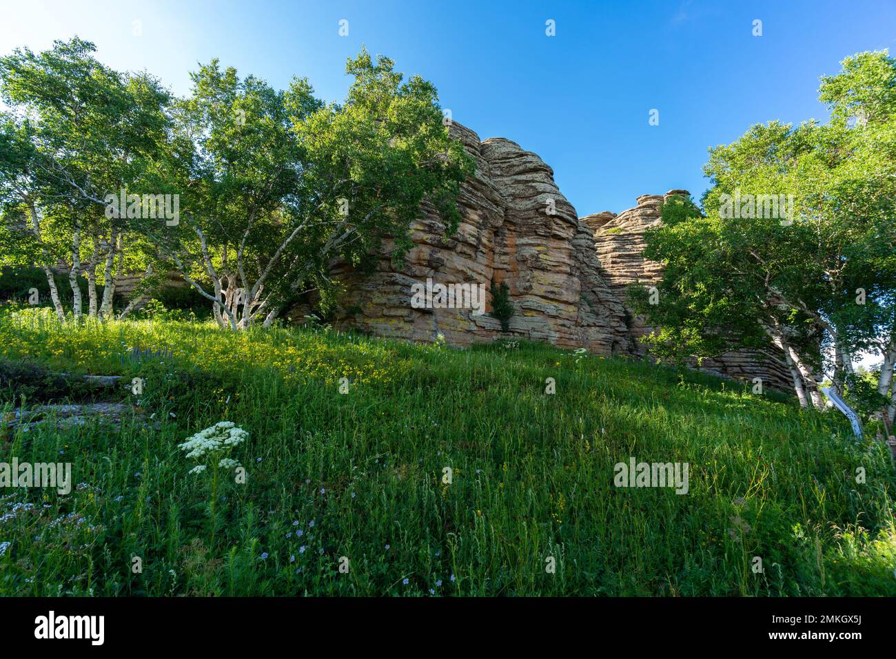 Ha figure stone forest hi-res stock photography and images - Alamy