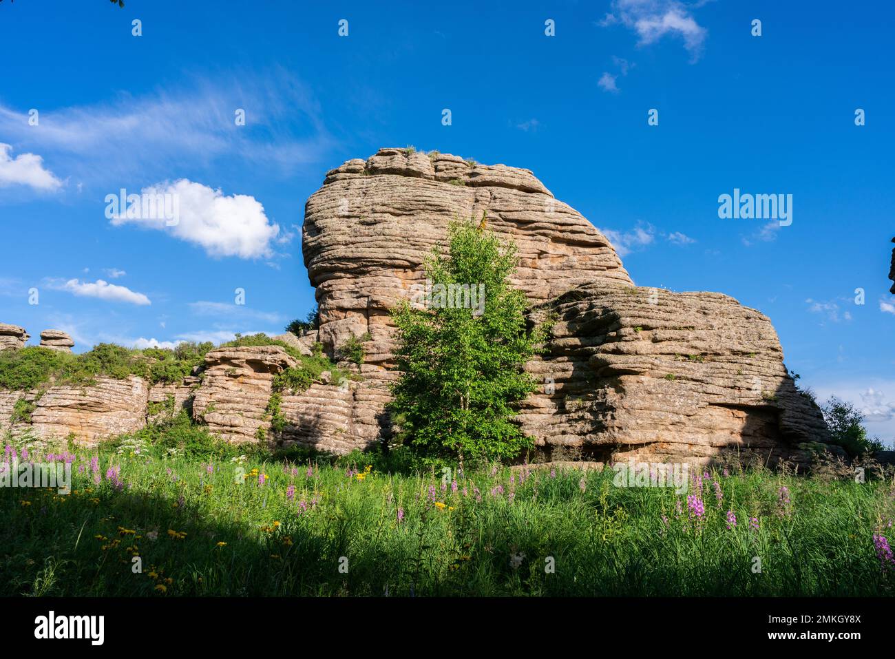 Ha figure stone forest hi-res stock photography and images - Alamy