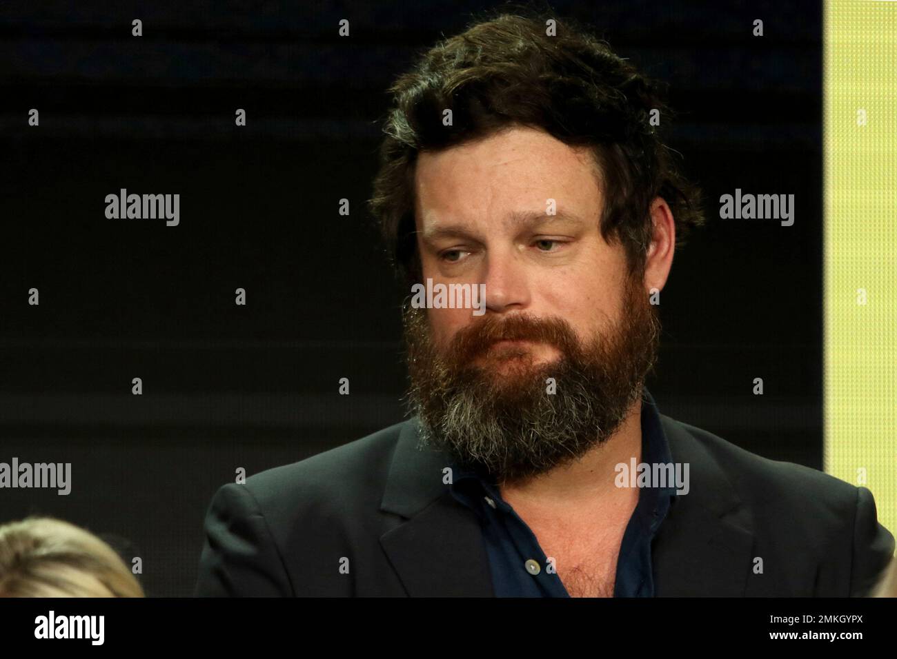 Luka Jones participates in the "Shrill" panel during the Hulu ...