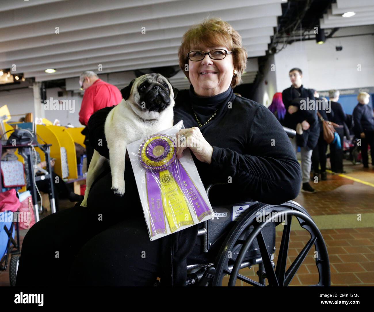 Westminster Dog Show Pugs