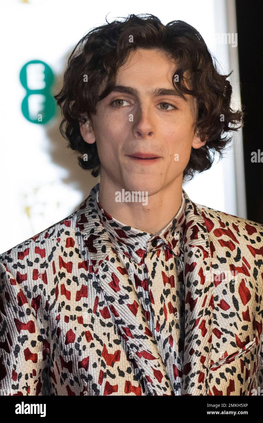 Actor Timothee Chalamet poses for photographers upon arrival at the ...