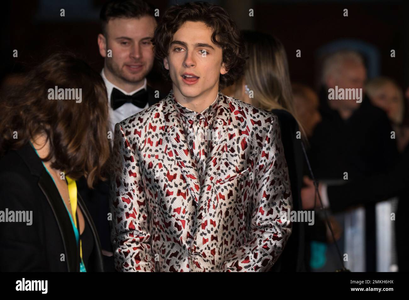 Actor Timothee Chalamet poses for photographers upon arrival at the ...