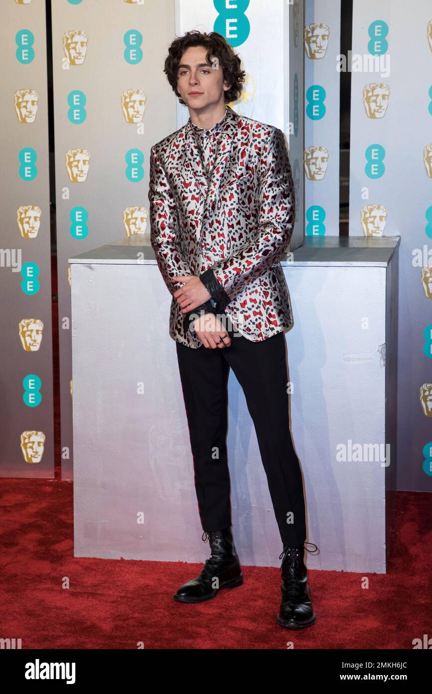 Actor Timothee Chalamet poses for photographers upon arrival at the ...