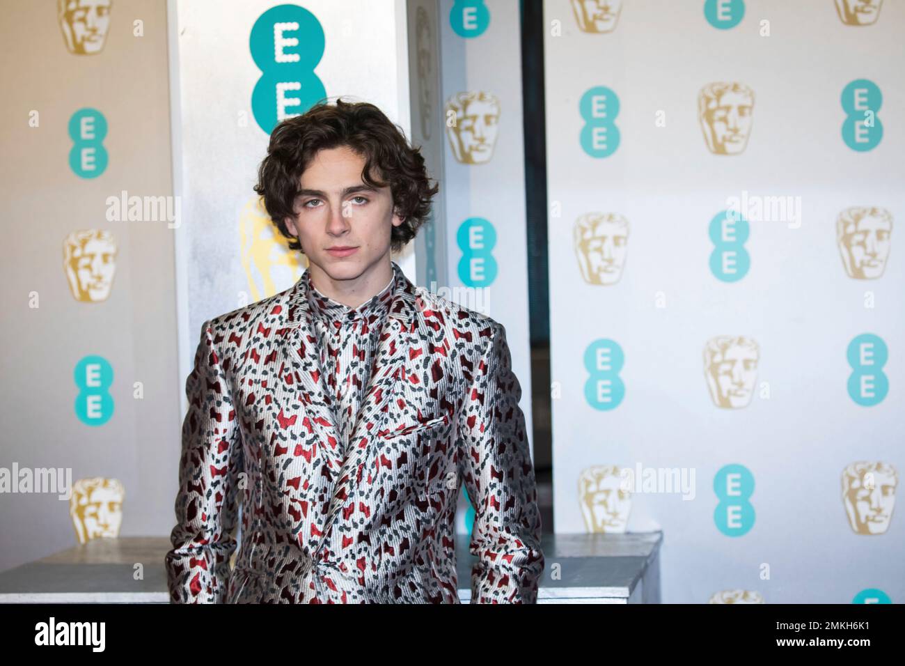 Actor Timothee Chalamet poses for photographers upon arrival at the ...