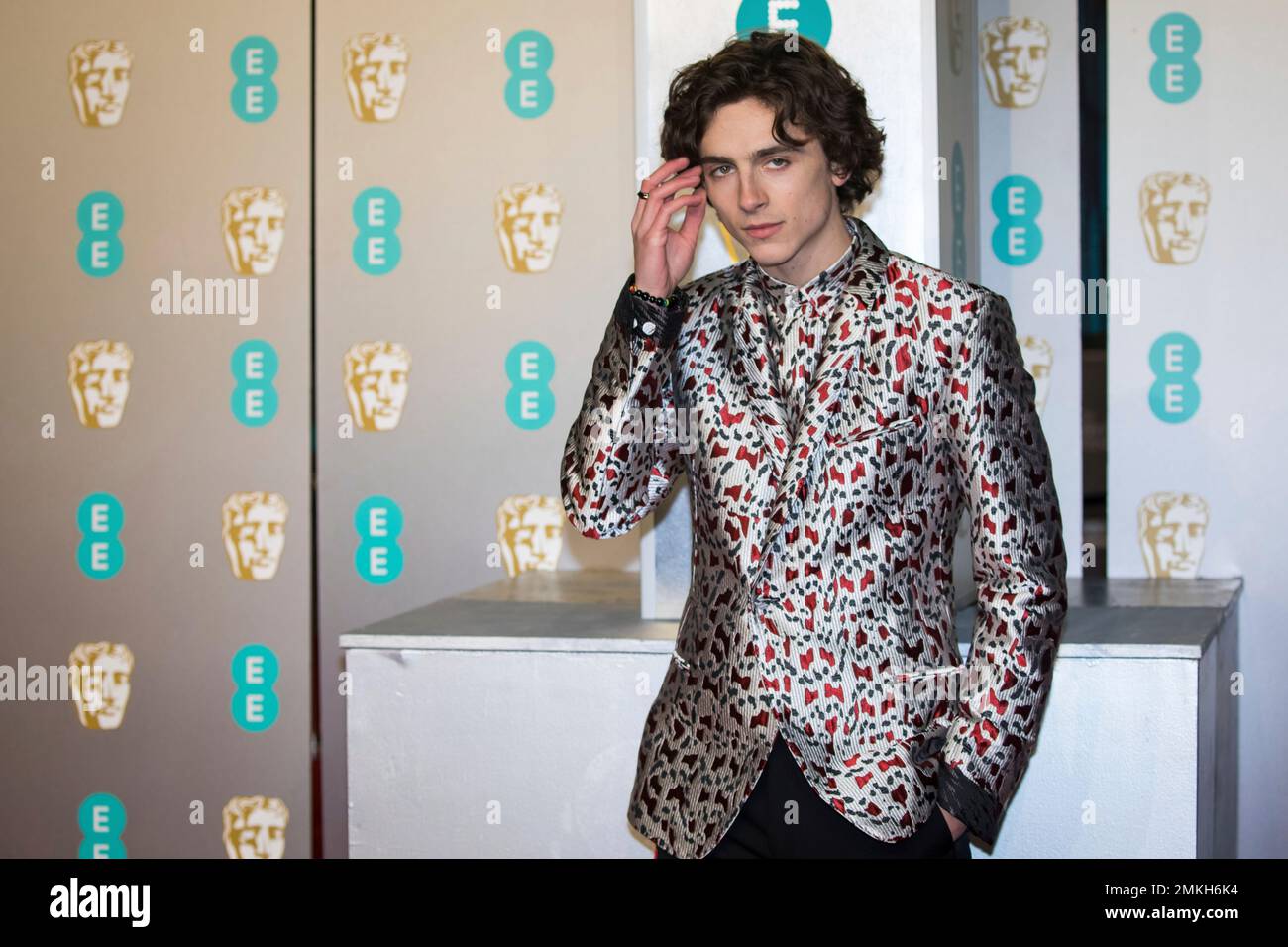 Actor Timothee Chalamet poses for photographers upon arrival at the ...