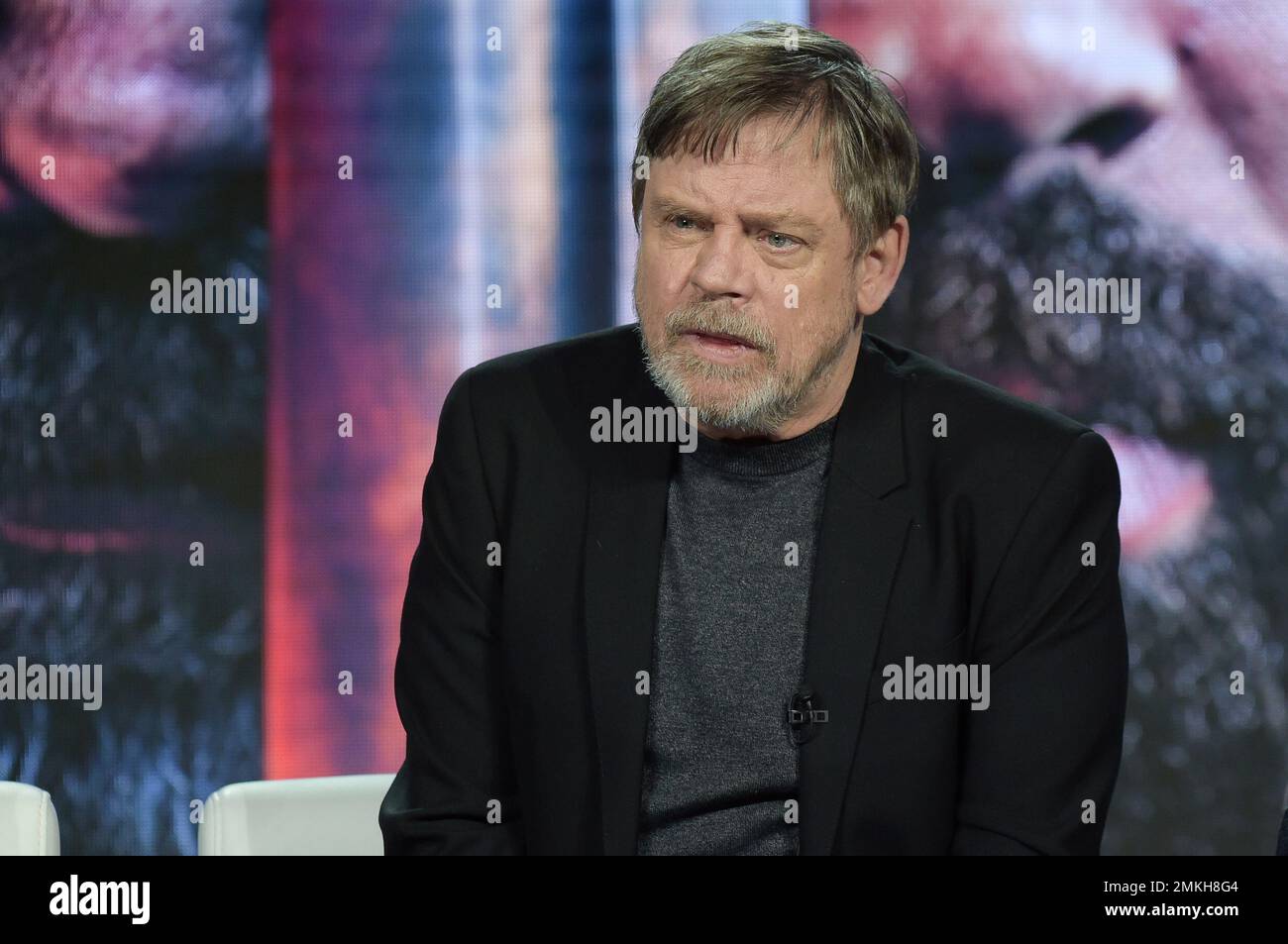 Mark Hamill participates in the "Knightfall" panel during the History ...