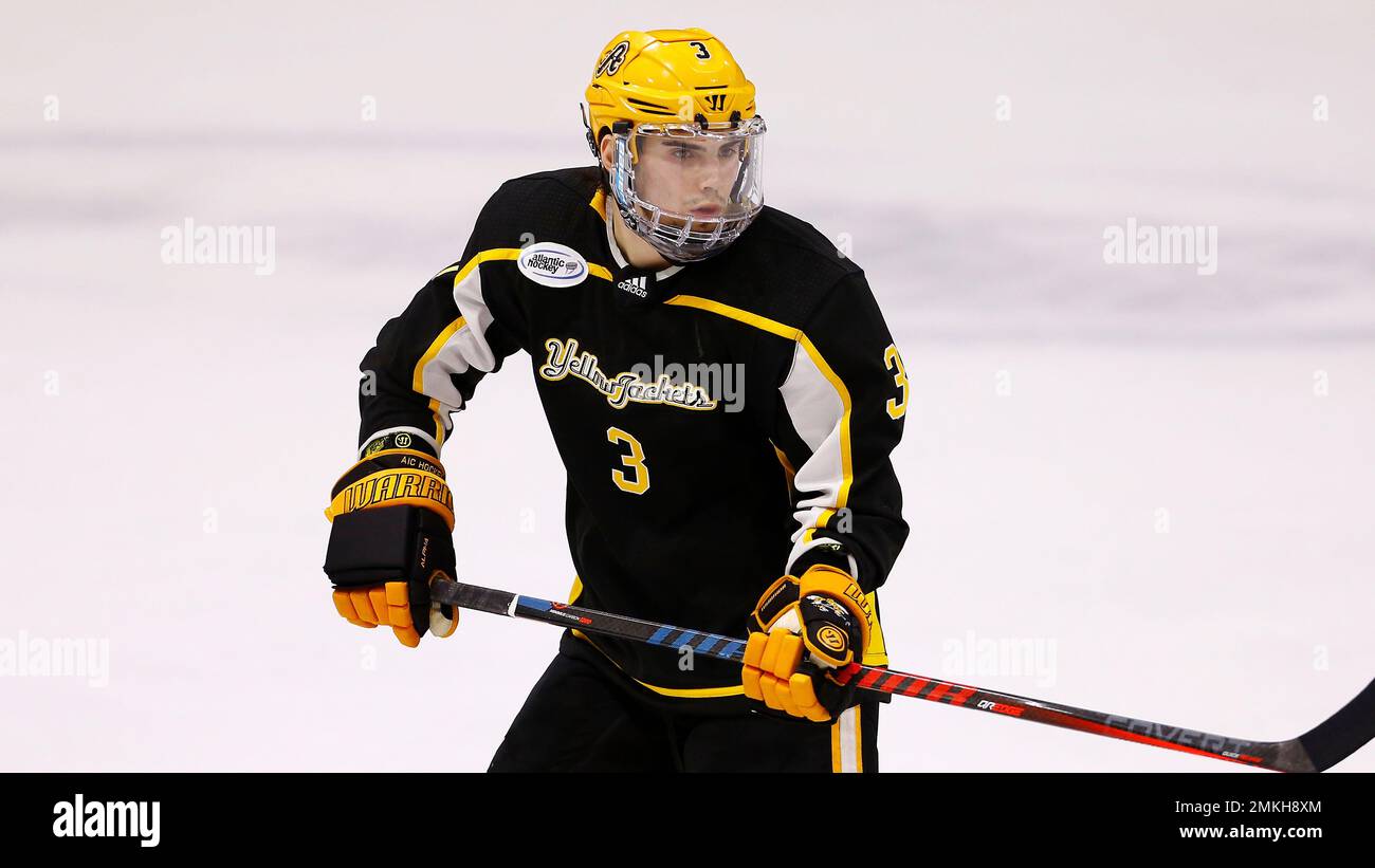 American Internationals' defenseman Patrik Demel (3) during an American ...